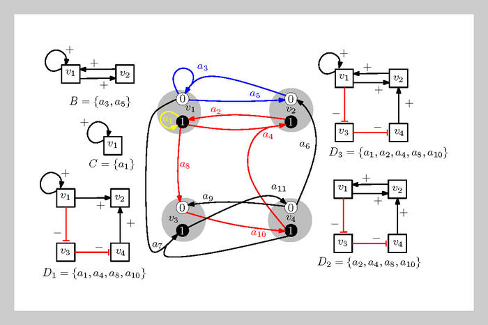 Discrete Biomathematics • Department of Mathematics and Computer Science
